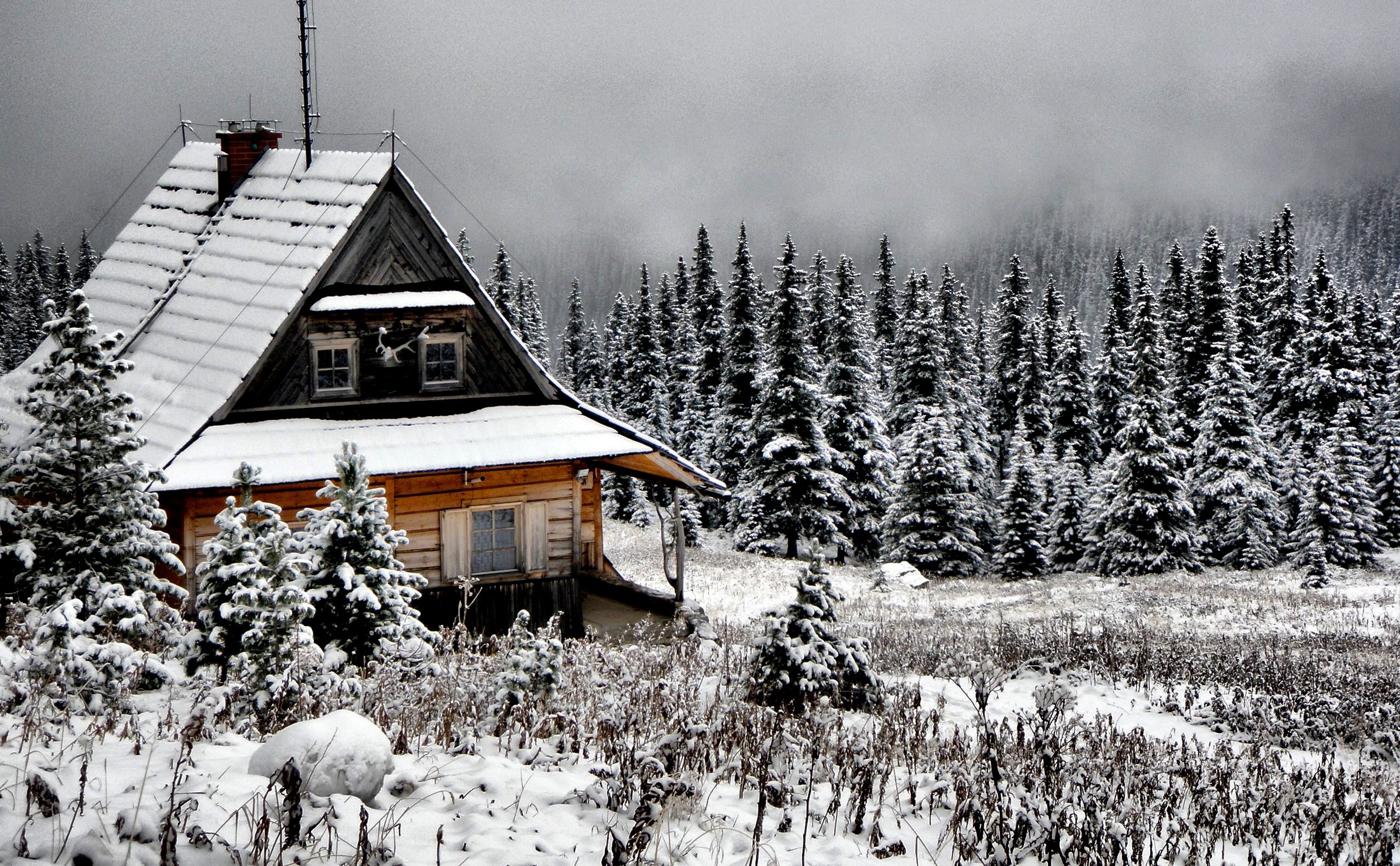 11 Places to Truly Celebrate Christmas In India