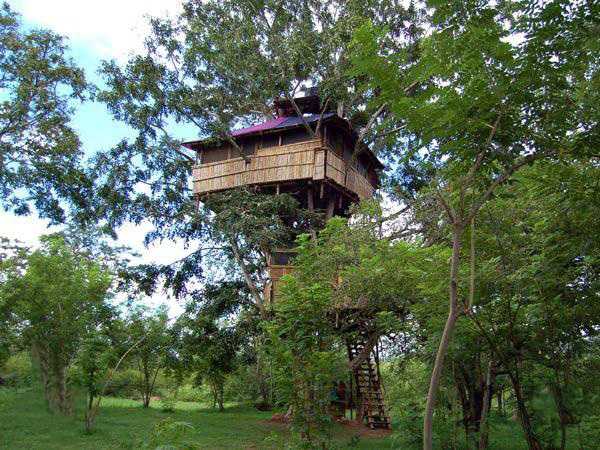 Top 10 Tree Houses in India : Of Nests and Hideouts