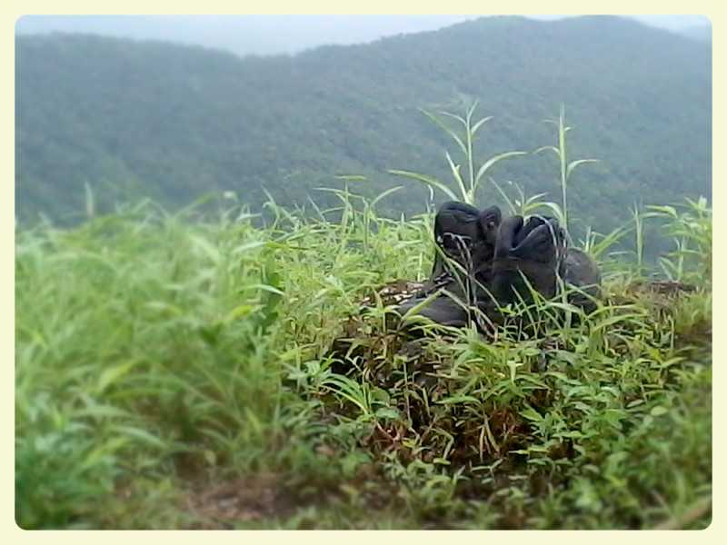 Escapes from Monotony: A travelogue of Treks at Takmak