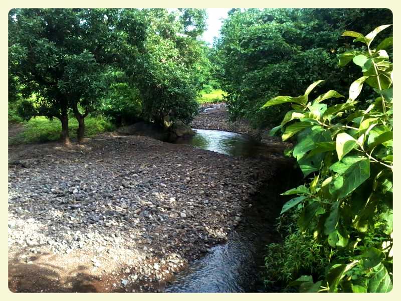 Escapes from Monotony: A travelogue of Treks at Takmak