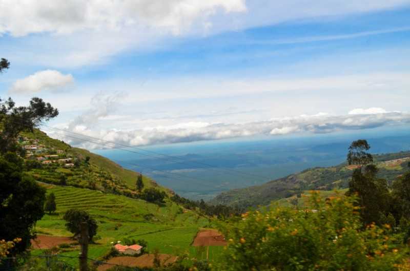 PHOTO TRAVELOGUES | Chapter 1: Mysore - A temple, a palace and monsoon