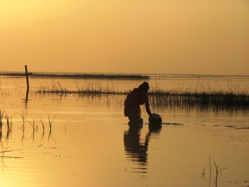 Nal Sarovar Bird Sanctuary #TWC