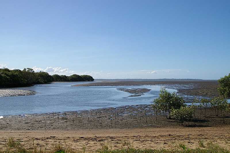 Nudgee Beach, Brisbane, Australia | Holidify