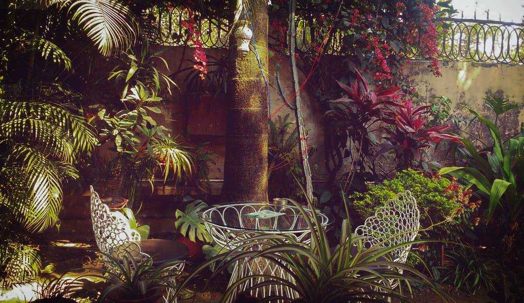 20 Cafes in Dehradun For An Amazing Gourmet Experience