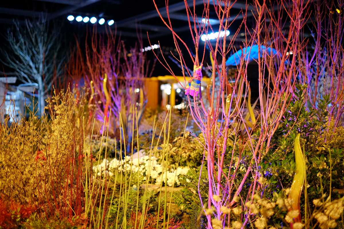 Seattle in February: Top 5 Places to Go and 10 Things to Do