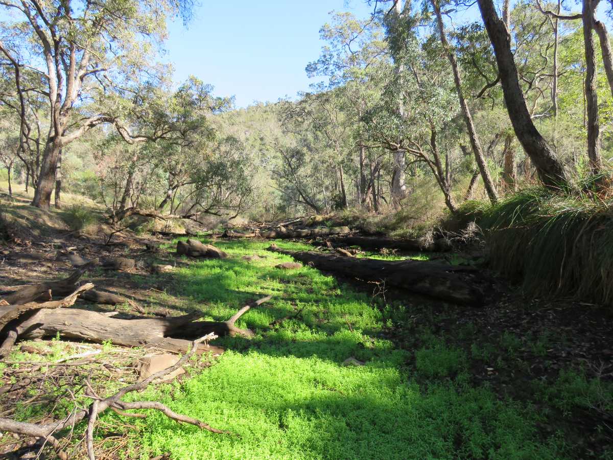 Top 12 Trails for Hiking in Perth 2024 | Holidify