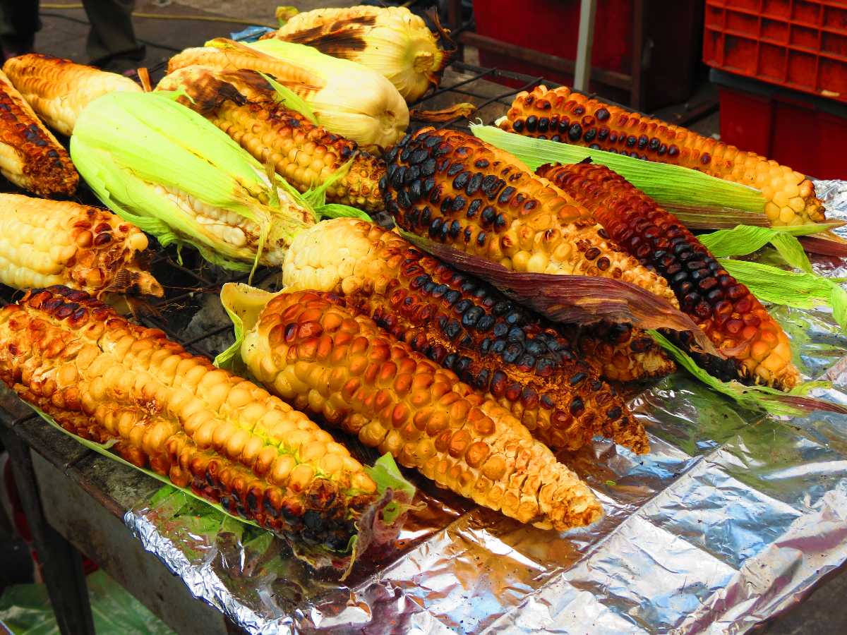 20 Best Street Food in Chicago & Chicago Street Food Vendors