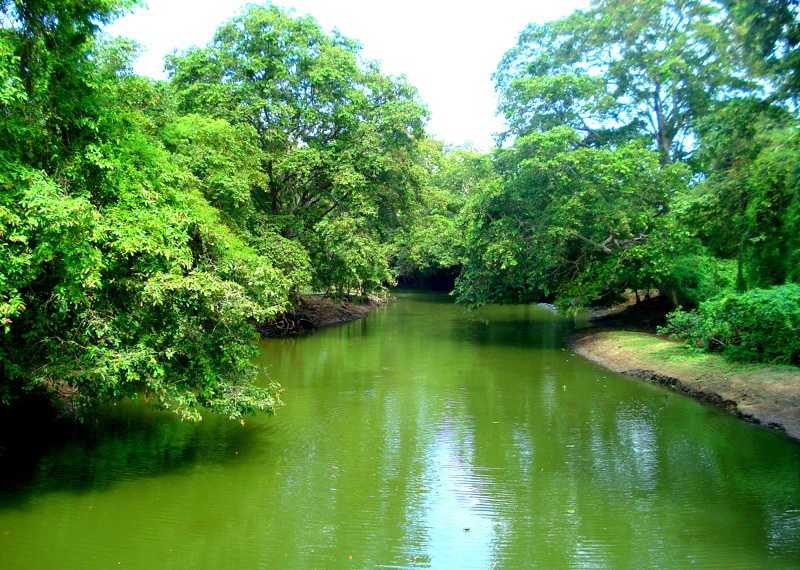 12 Major Rivers of Sri Lanka