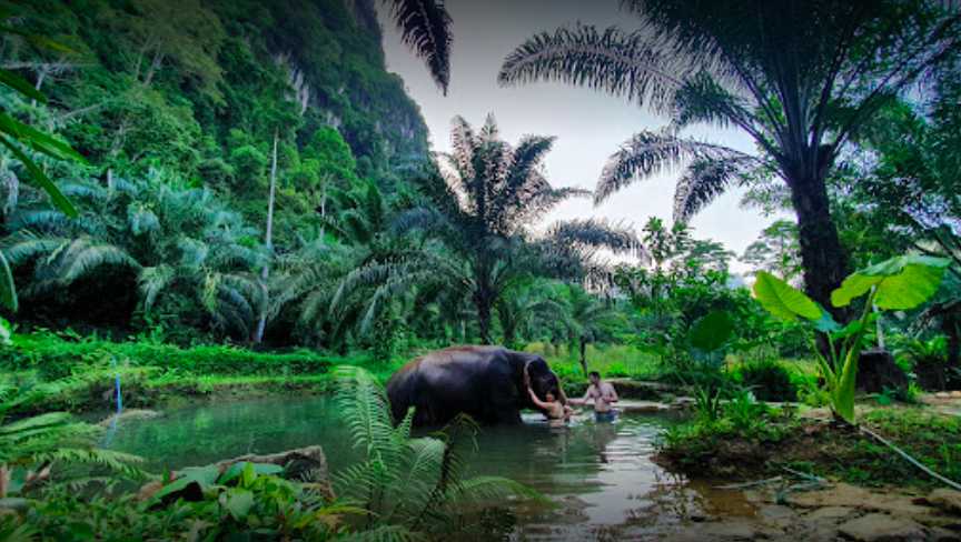 Sonchana Farm And Elephant Sanctuary Holidify