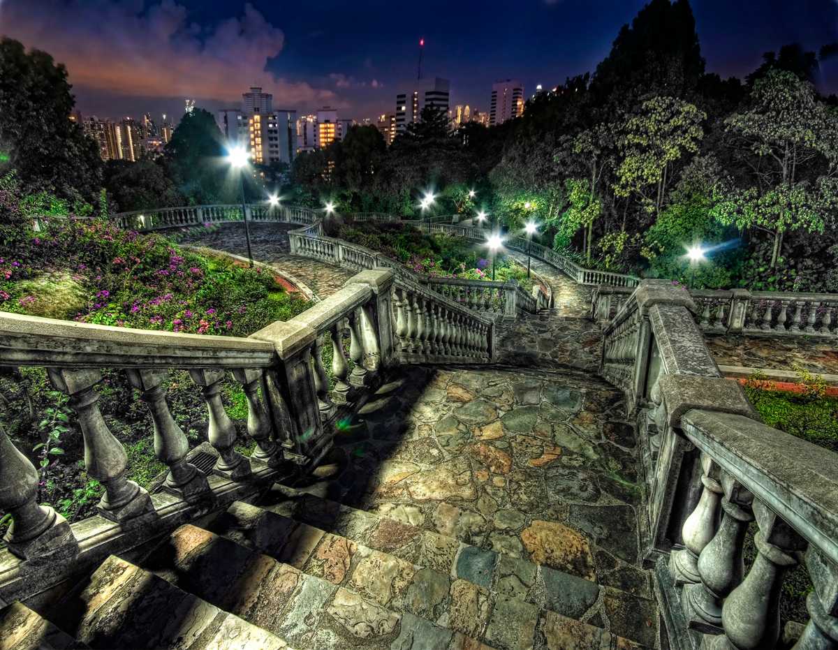 Hiking in Singapore: 21 Trails for Hiking & Trekking - Holidify