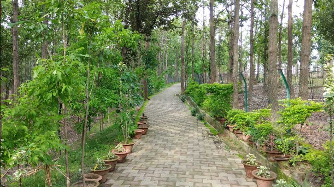 7 Best Parks In Ranchi Timings Tickets