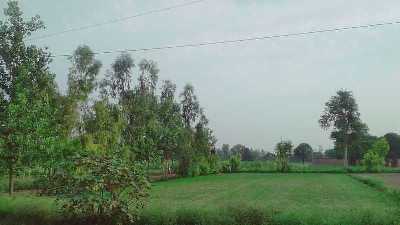 Manjeshwar, Kasargod | Temple, Timings & Images