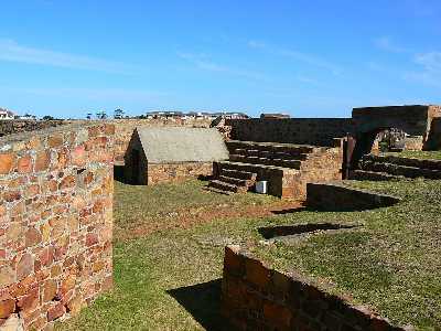 Bayworld, Port Elizabeth - Museum, Oceanarium, Snake Park - Holidify