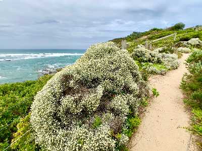 Bellarine Peninsula, Melbourne, Australia | Holidify