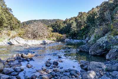 Te Puke, Bay of Plenty (2023) - Images, Timings | Holidify