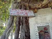 Akshaya Vat, Allahabad (2019) - Images, Timings | Holidify