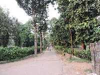 Roshanara Bagh, Delhi | Timings and More | Holidify